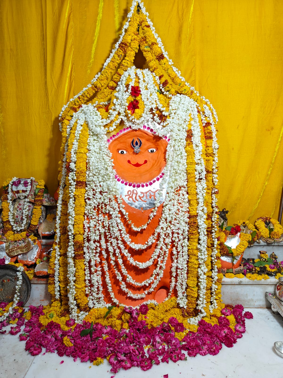 आज के दर्शन - राजाधिराज श्री वीर अलीजा सरकार - Shri Alija Hanuman